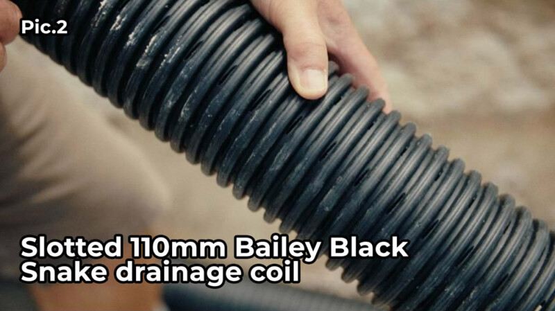 Bailey Black Snake - Resident Builder Peter Wolfkamp